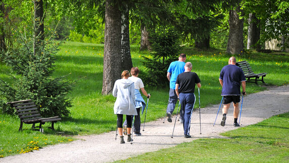 Balades et randonnées à Gif | Ville de Gif-sur-Yvette