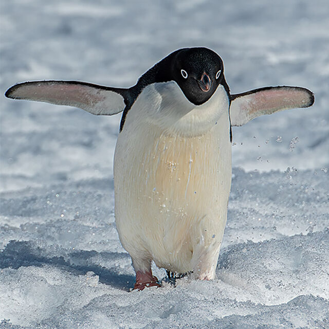 Agenda | Ville de Gif-sur-Yvette