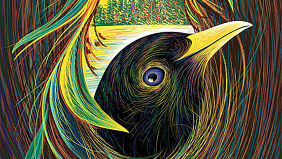 Atelier d'illustration avec Isabelle Simler | Ville de Gif-sur-Yvette